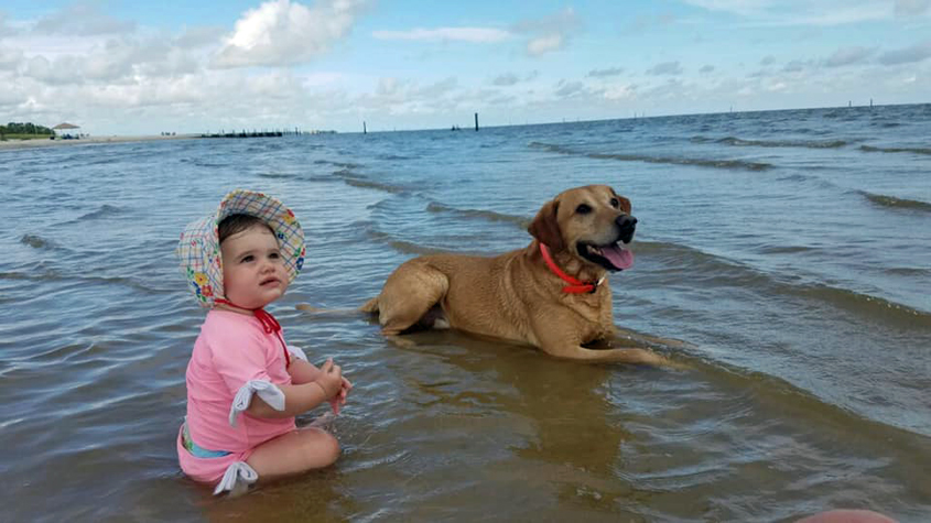 Happy 1st Birthday to Libby Grace Sabin! - MageeNews.com