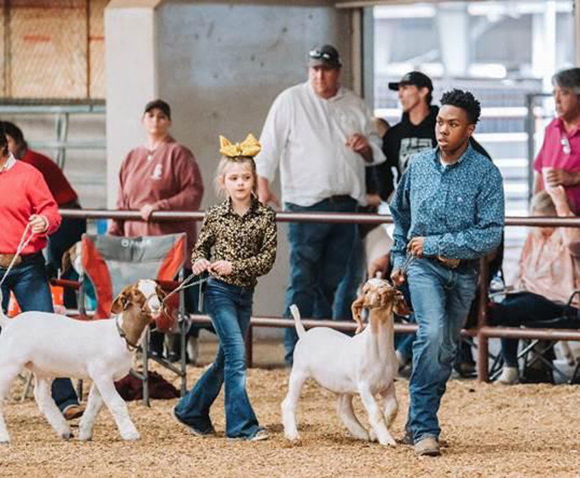 Agriculture Holds Key to Mississippi Workforce Challenges - MageeNews.com