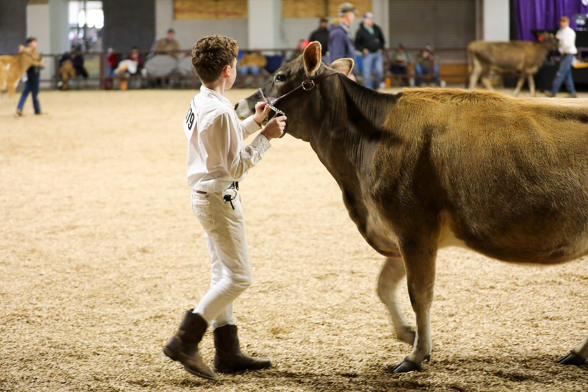 Schedule of 59th Annual Dixie National Livestock Show and Rodeo Event ...
