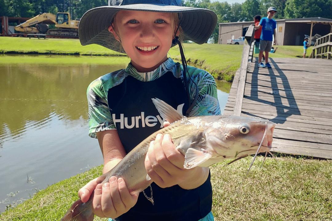 Registration Opens for Natural Science Museum 2024 Summer Camps ...