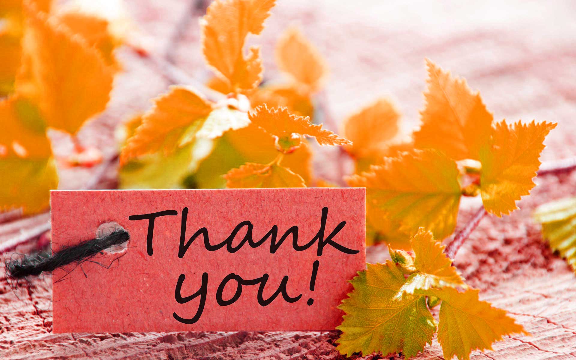 Take time to say Thank you! By Sharon Womack - MageeNews.com