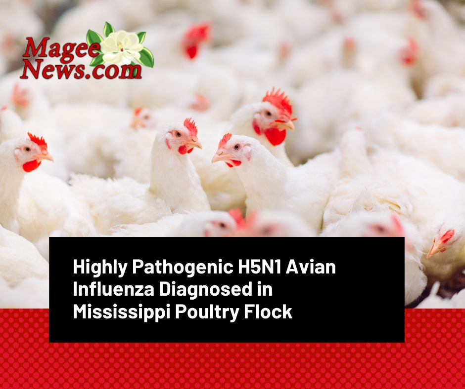 Highly Pathogenic H5N1 Avian Influenza Diagnosed in Mississippi Poultry ...