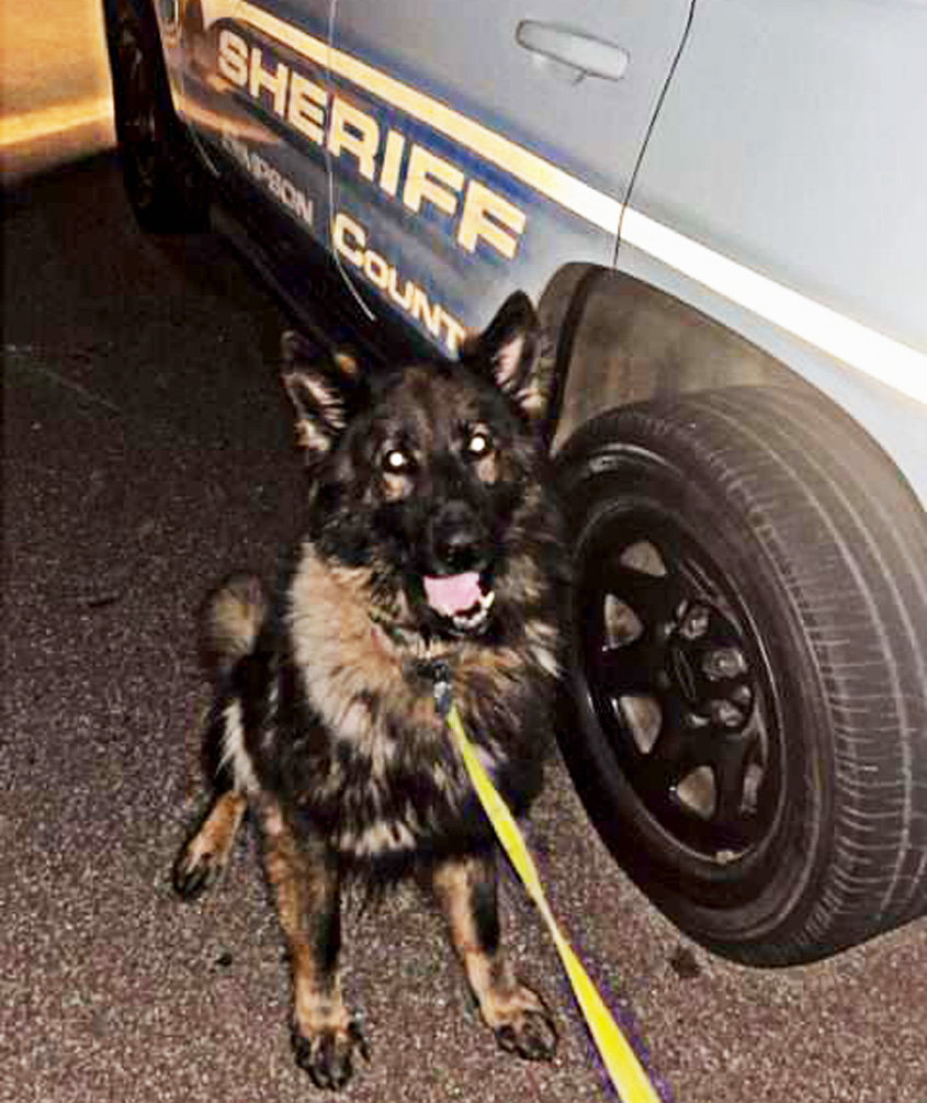 Deputy Garrett Gray & K9 partner Hanz Apprehend Burglary Suspect ...